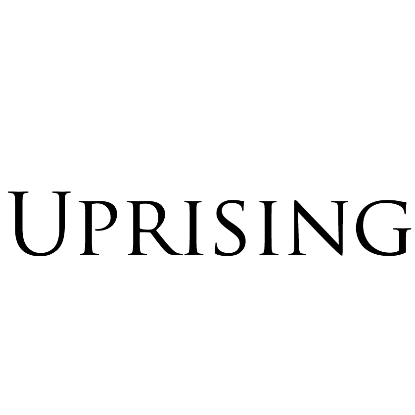 The Uprising - Minecraft Roleplay 2 | Casting Call Club
