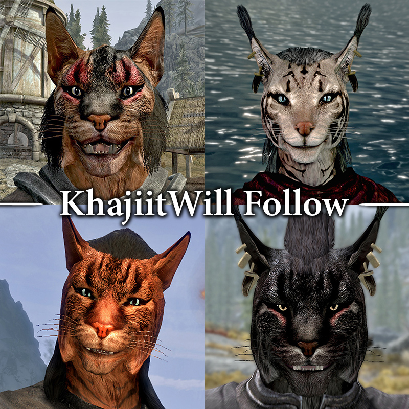 Khajiit Will Follow - Skyrim Follower Mod | Casting Call Club