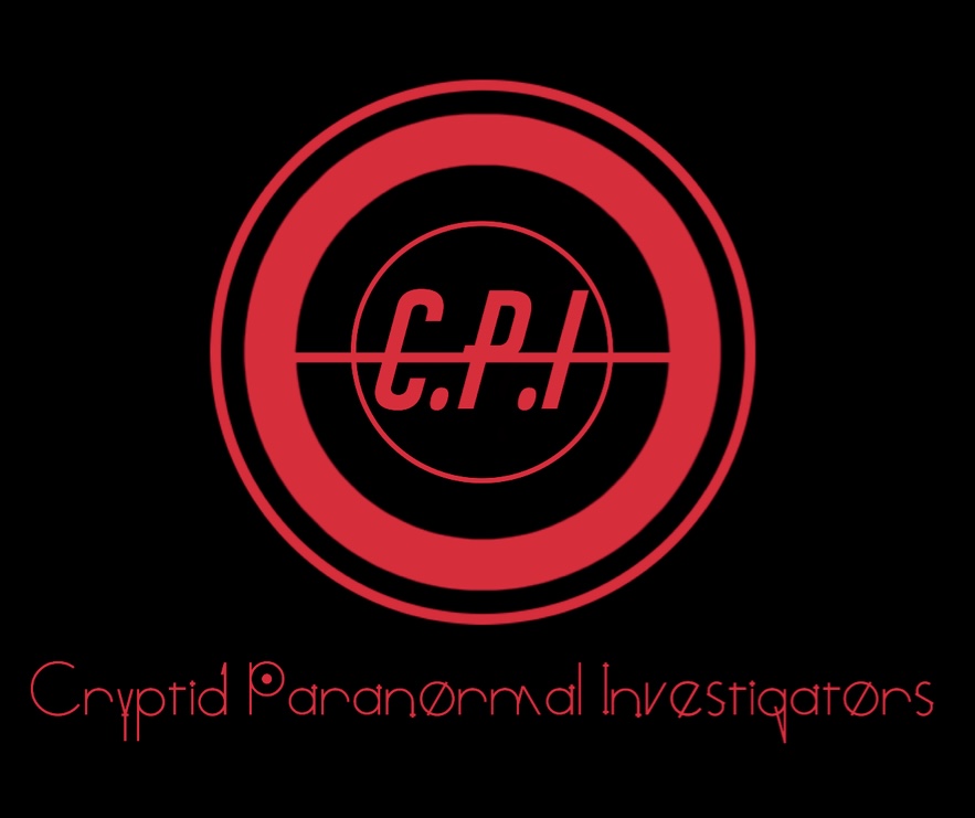 CPI Season 2 and The Gemini Trials recast | Casting Call Club