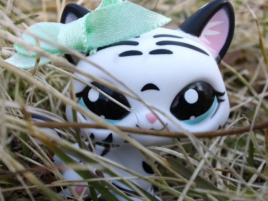 LPS Mystic High | Casting Call Club