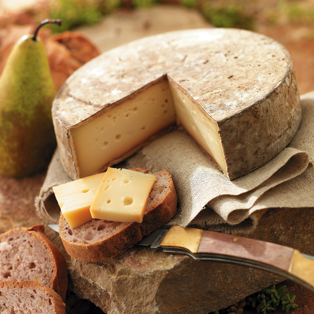 Project - Cheese | Casting Call Club