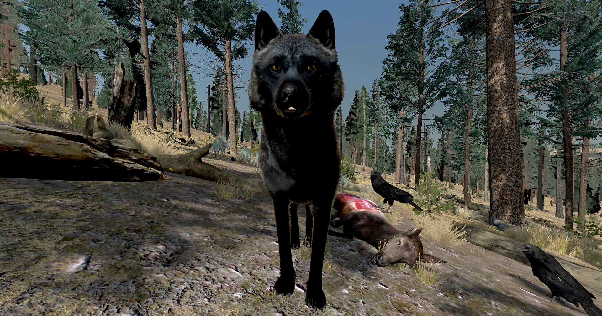 wolfquest AE (multiplayer roleplay) | Casting Call Club