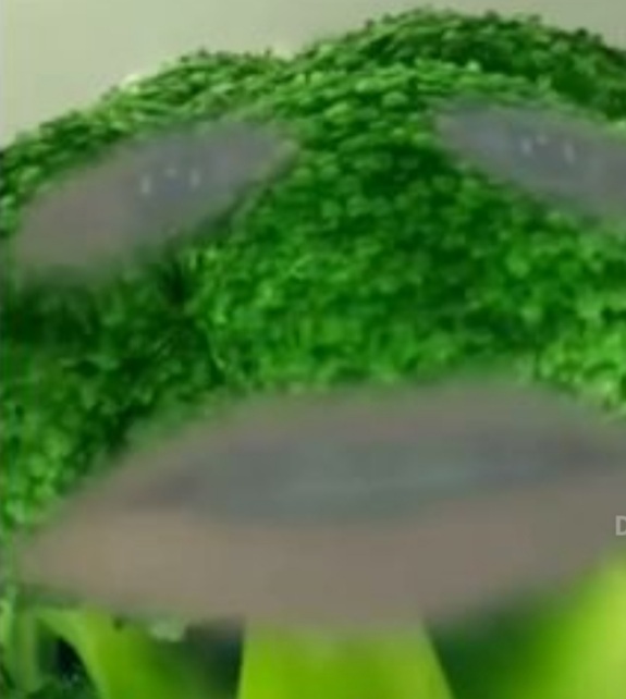 The Many Scams Of Mr. Broccoli | Casting Call Club