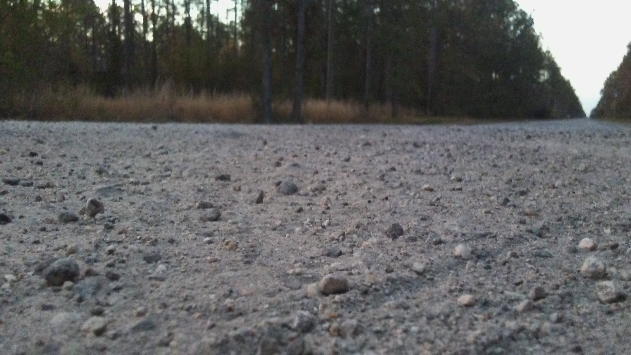 Beyond My Reach (Minecraft Roleplay)(New Characters Added!!) | Casting ...