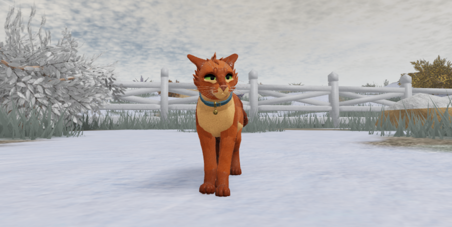 Warriors: WCUE Series (1) | Casting Call Club