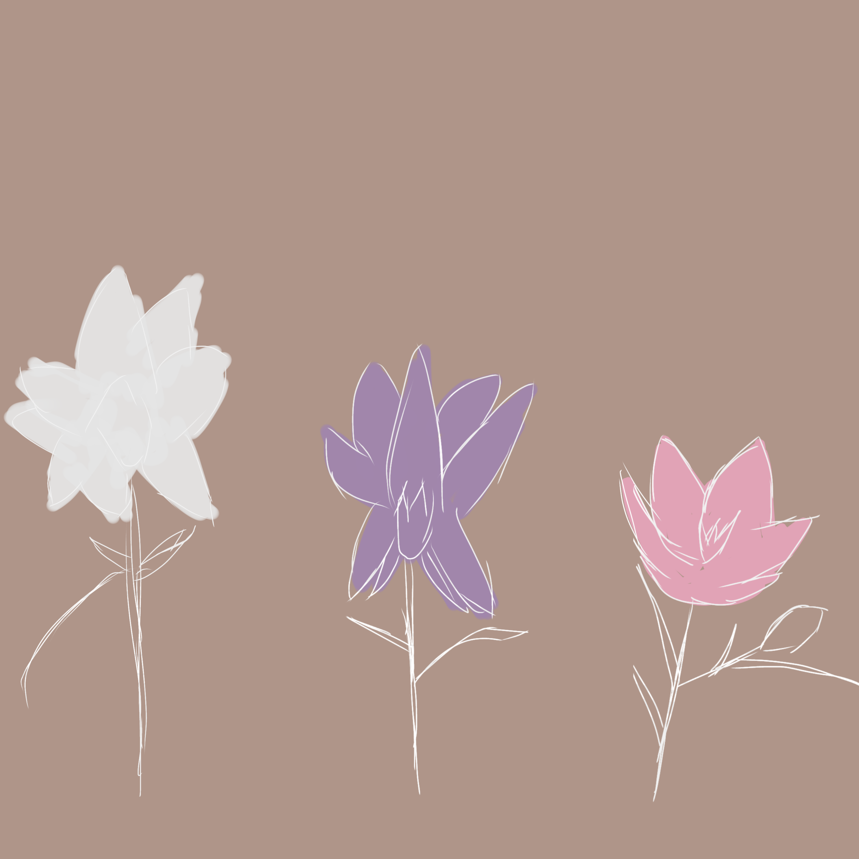 Talia | Casting Call Club