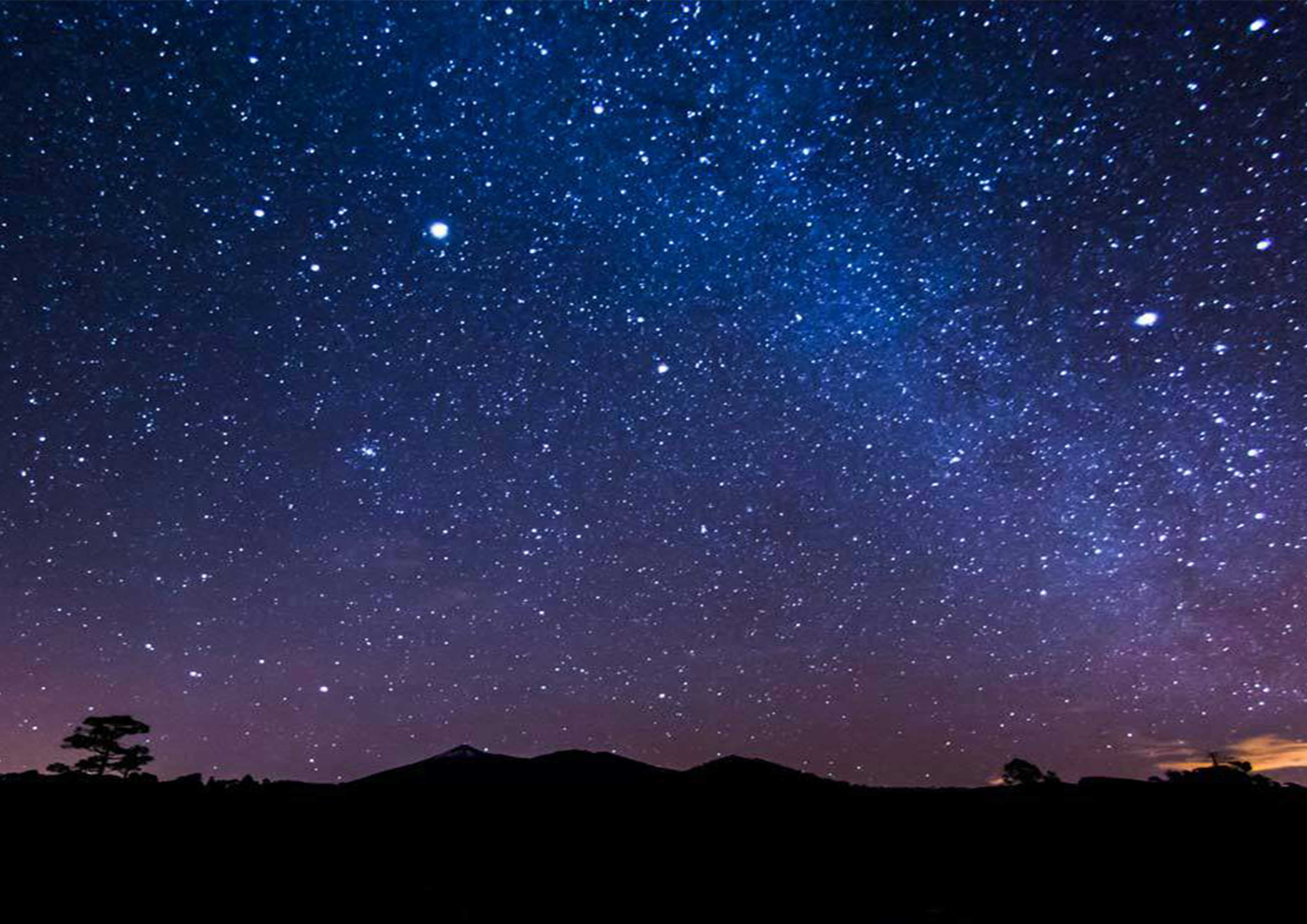 Codename Echo | Casting Call Club