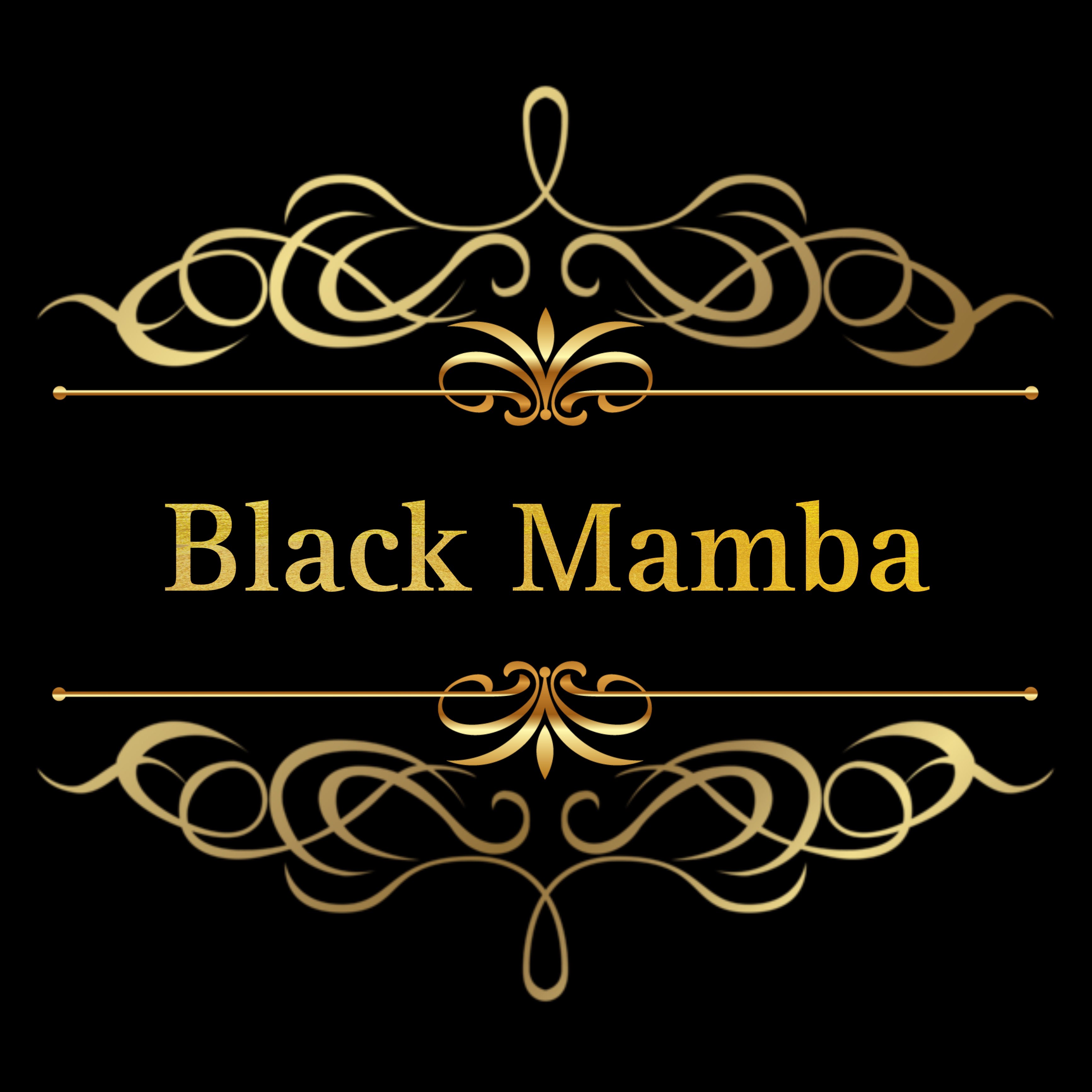 Black Mamba (Minecraft Roleplay) (Java) | Casting Call Club
