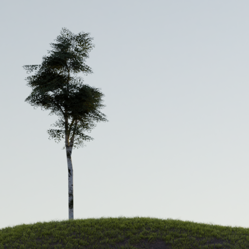 The Old Birch Tree - Production Team | Casting Call Club