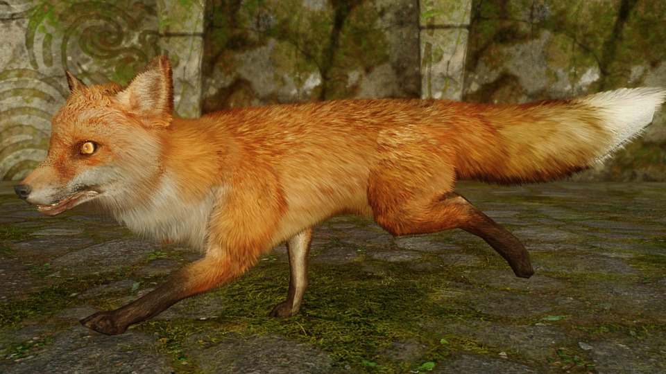 Celine: Skyrim Anthropomorphic Fox Follower Mod (Redux) | Casting Call Club