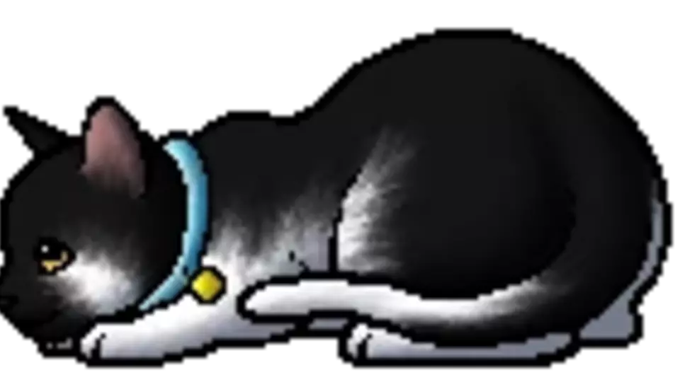 Firestar_Wcue for Firepaw (Long Term) | Casting Call Club