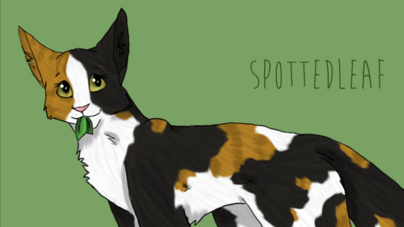 Warrior cats, Spottedleaf's heart copy | Casting Call Club