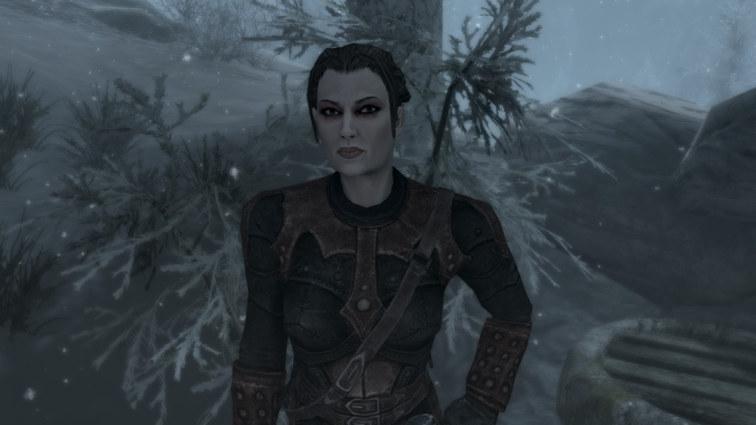 Follower Expansion - A Skyrim Mod | Casting Call Club