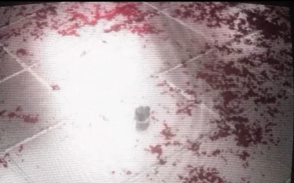 Eye on Manticore: Chapter 1 | Casting Call Club