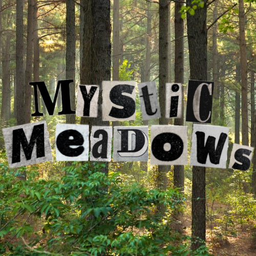 In need for animators, background artist, and Ashely Summit, for Mystic Meadows. | Casting Call Club