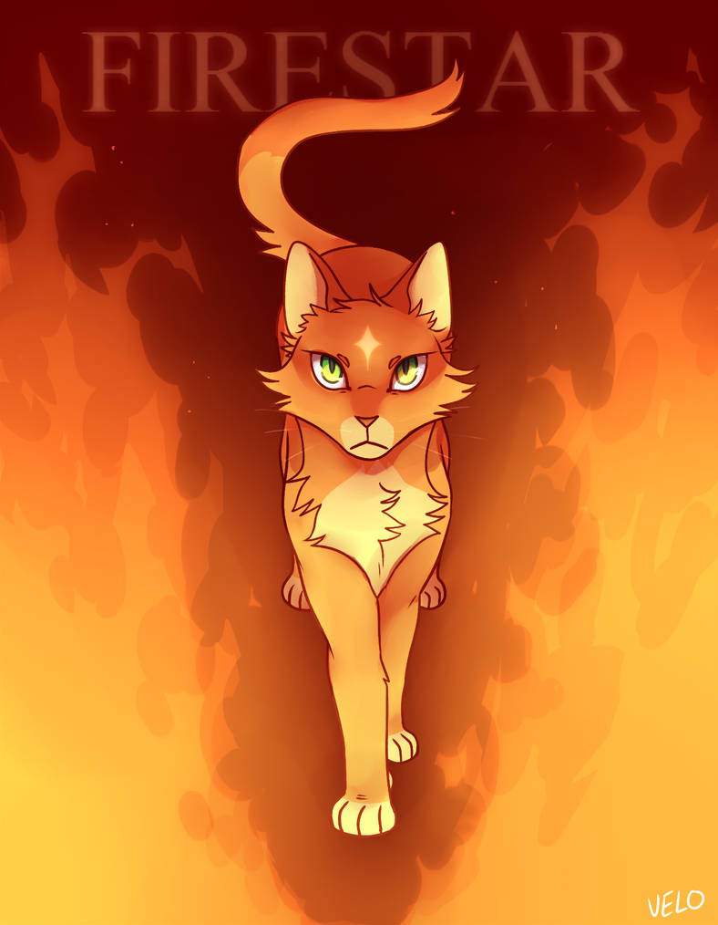 Warrior cats map based off of the song warrior | Casting Call Club