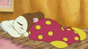 (Complete Script Included!) Hamtaro ASMR Roleplay: Meeting Snoozer ...