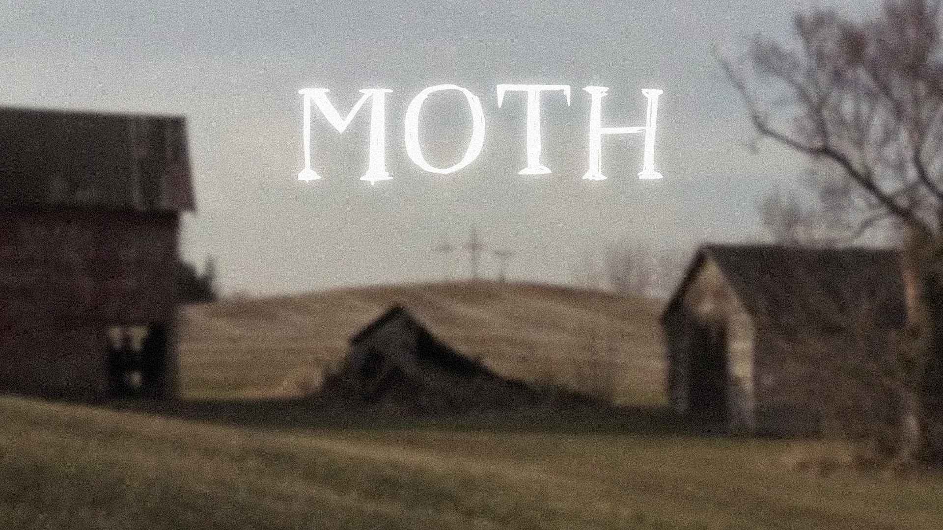 MOTH- ANIMATED FILM | Casting Call Club
