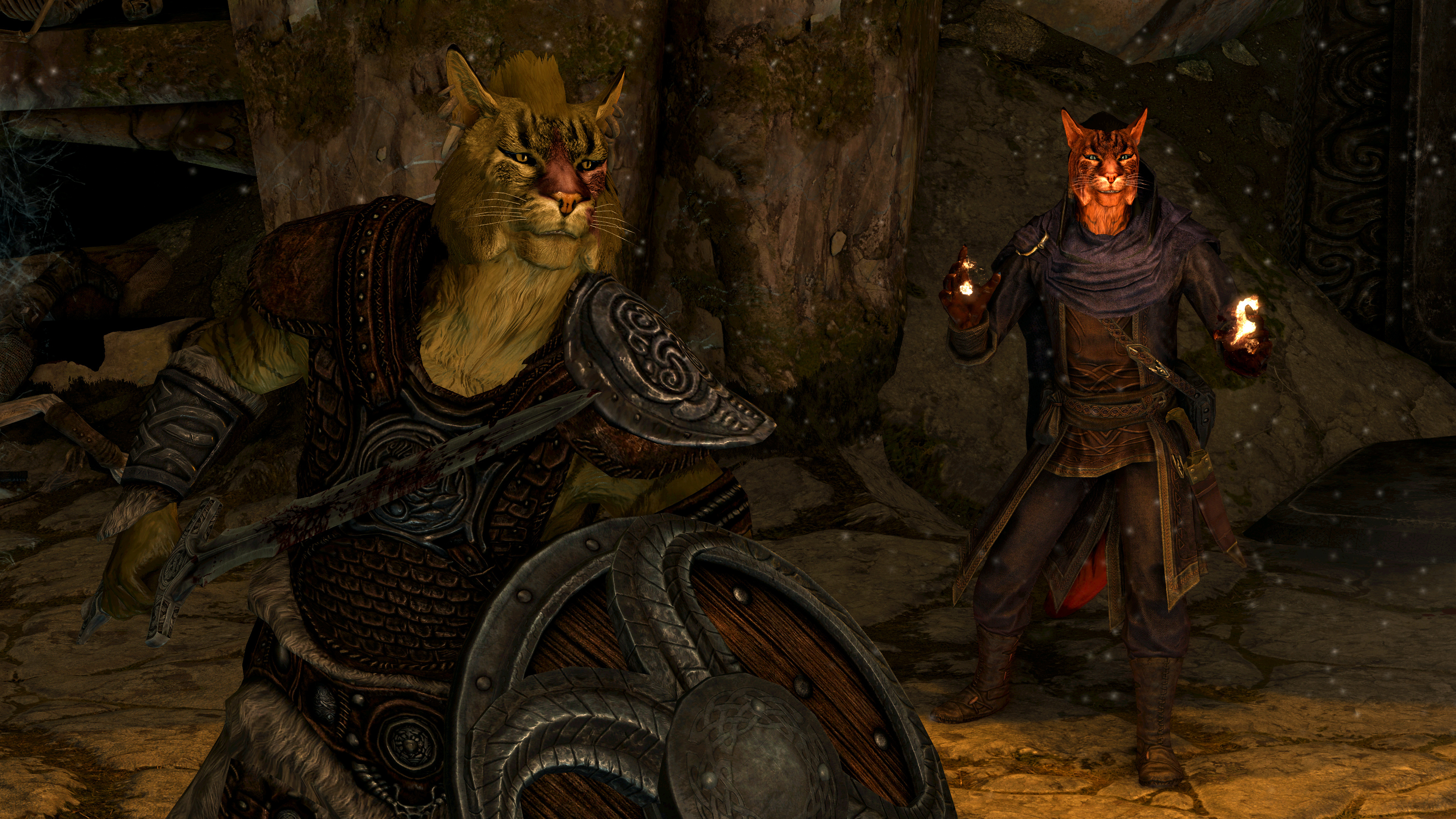 [PAID] Khajiit Will Follow -- Skyrim Follower Mod Quest NPC | Casting ...