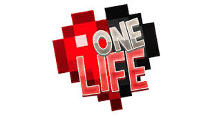 Minecraft modded series one life | Casting Call Club