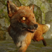 Celine: Skyrim Anthropomorphic Fox Follower Mod (Redux) | Casting Call Club