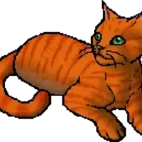 Firestar_Wcue for Firepaw (Long Term) | Casting Call Club