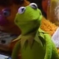 Kermit the frog line | Casting Call Club