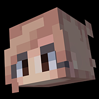 Airway Academy Minecraft | Casting Call Club