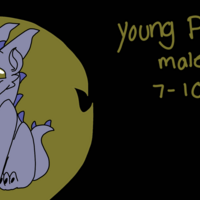 Firebolt: Original dragon animated series (Episodes 3 and on) | Casting ...