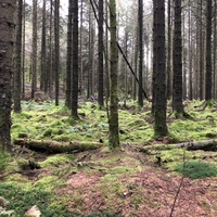 CrispE | Casting Call Club