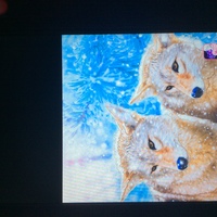 Lil Wolfie | Casting Call Club