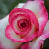 Kiara_World | Casting Call Club