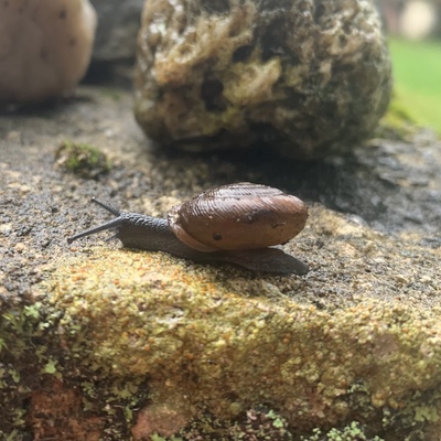 Emily_M | Casting Call Club