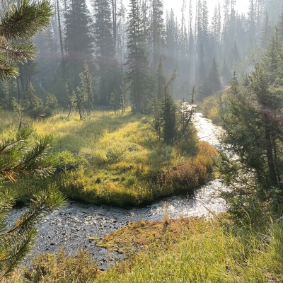 SaltyCaramel for Mary | Casting Call Club