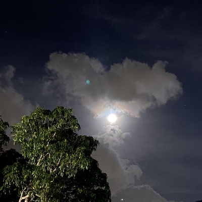 angel | Casting Call Club