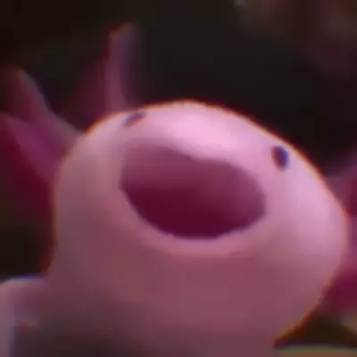 Sunny | Casting Call Club