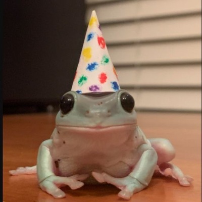 Ari | Casting Call Club